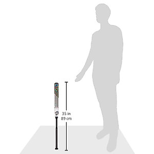 DeMarini FP Prism+ (-10) Fastpitch Bat - 31"