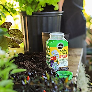 453g Shake n Feed All Purpose Plant Fertilizer