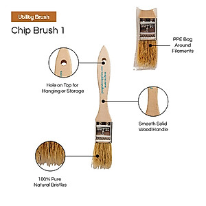 Vermeer Chip Paint Brushes - 24-Pack - 1" Chip Brushes for Paints, Stains, Varnishes, Glues, & Gesso - Home Improvement - Interior & Exterior Use