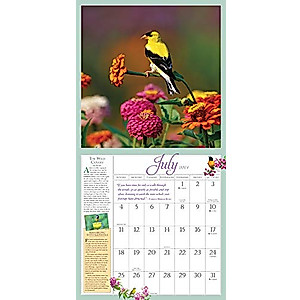Audubon Birds in the Garden Wall Calendar 2021
