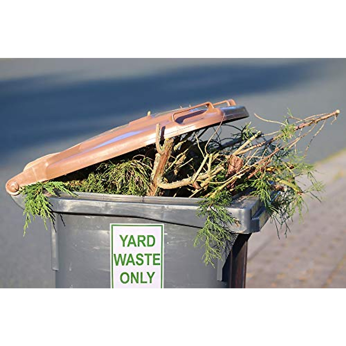 ZAEO Yard Waste Only Decal - Sticker for Trash Cans, Garbage Cans and Containers - 8 Inches x 6 Inches (Green, 1)