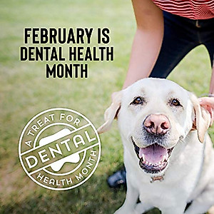 Cloud Star Wag More Dental Biscuits 14 Ounce