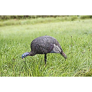 Flambeau Outdoors MD-710 Shady Baby Turkey Decoy - Feeding Hen