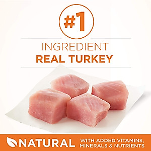 Purina ONE High Protein, Healthy Weight Dry Cat Food, +Plus Ideal Weight With Turkey - 7 lb. Bag