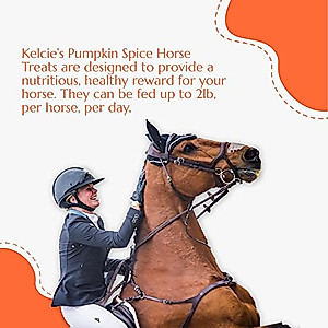 Kelcies Limited Spice Horse Treats Bag | Premium All Natural Treats | Starch and Carbohydrates | Tasty Horse Treats Packed with Superfoods | Low Sugar Treats | Suitable for Horses with Cushing's-5lbs