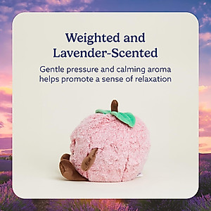 warmies Microwavable & Weighted Stuffed Animals, Red Apple - Heated Stuffed Animal Plushie for Warmth & Comfort - Cute Soft Plush Toys for Adults & Children (Boys, Girls, Babies & Toddlers)