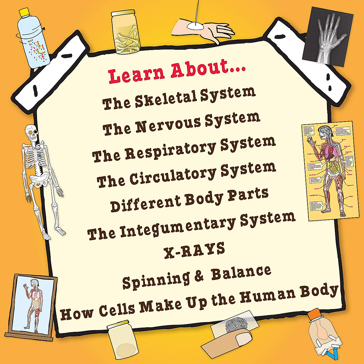 The Magic School Bus:Human Body Lab By Horizon Group USA,Homeschool STEM Kit,Includes Hands-On Educational Manual,Experiment Cards,Plastic Human Skeleton,Data Notebook,Hinge Joint Model & More ,Yellow