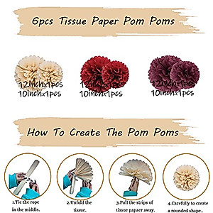 70th Birthday Decorations Women – Happy 70 Birthday Party Supplies for Womens with Champagne Burgundy Flowers Balloons Tissues Decor (Burgundy + Champagne)