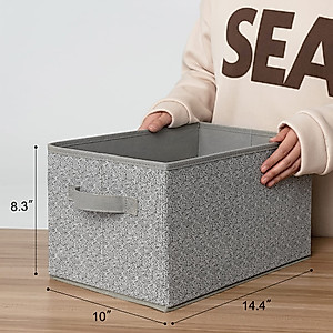 GRANNY SAYS Bundle of 3-Pack Rectangle Storage Bins & 1-Pack Hanging Closet Organizer