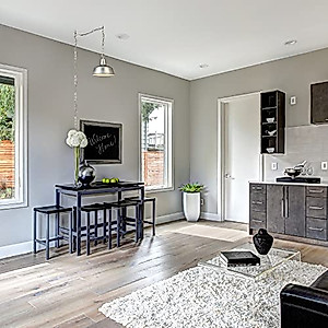 Mason Hanging Swag Light Barn Industrial Farmhouse Modern 1-Light Design House Pendant Light with Metal Shade for Living Room and Dining Room, 10 inch, Galvanized Paint Finish, 579409