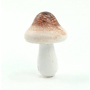 Meyer Imports Mini Wooden Mushroom Decoration (6 Piece) - Miniature Mushrooms for Fairy Garden Art/Crafts/Dollhouse/Figurines Decor - Natural