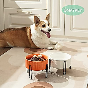 OMAYKEY 32 OZ Ceramic Elevated Dog Bowls with Metal Stand, Raised Cat Bowl Set for Food and Water, Pet Feeder Bowl Dish for Cats & Dogs, Non-Slip, Dishwasher Safe, White & Orange