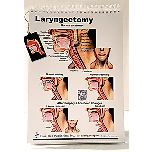 Speech Language Pathology SLP Charts Complete Series with QR Codes for Animation with Mini Head Model, Swallowing, Brain, Larynx, Lungs, Speech Articulation, Voice and More