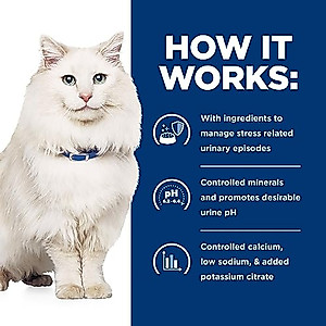 Hill's Prescription Diet c/d Multicare Stress Urinary Care Ocean Fish Flavor Dry Cat Food, Veterinary Diet, 17.6 lb. Bag