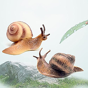 2 Pcs Snail Figurines Snail Model Miniature Snail for Fairy Garden Micro Landscape Decor