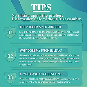 Delove 68 oz/2 Liter Glass Pitcher with Shatterproof Shell - Heat Resistant Glass Liner - Stainless Steel Lid - Carafe & Jug for Iced Tea,Hot/Cold Water,Homemade Juice Beverages (Black)