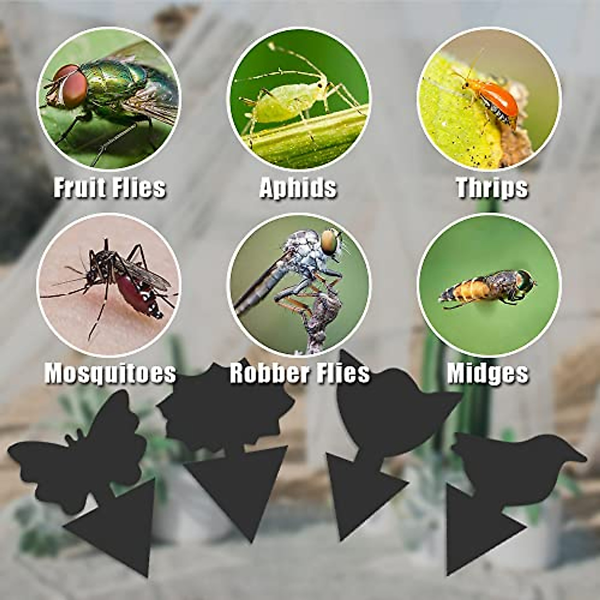 36 Pack Fungus Gnat Traps for House Plants, Black Sticky Traps for Indoor Outdoor Use to Get Rid of Whitefly Mosquitoes Fungus Gnats Thrips Leafminer Flying Insects Protect Your Plants