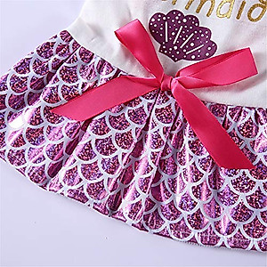 MSNFOASM Pet Clothes Dog Cat Tutu Dress Skirt for Dog Girl Boy Xmas Pet Costumes for Christmas Thanksgiving Holiday(Pink Mermaid,M)