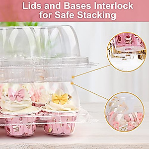 LotFancy Mini Cupcake Containers, 24 Count, 12 Pack Plastic Cupcake Holder with 288 Cupcake Liners, Clear Disposable Mini Cupcake Carriers with Detachable Dome Lid