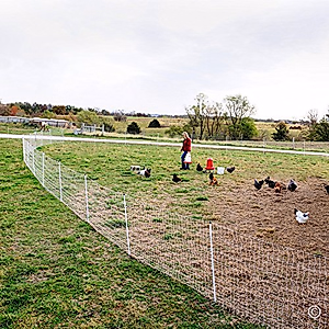 Premier 48" PoultryNet® Electric Fence 12/48/3, 164', Double Spike, White