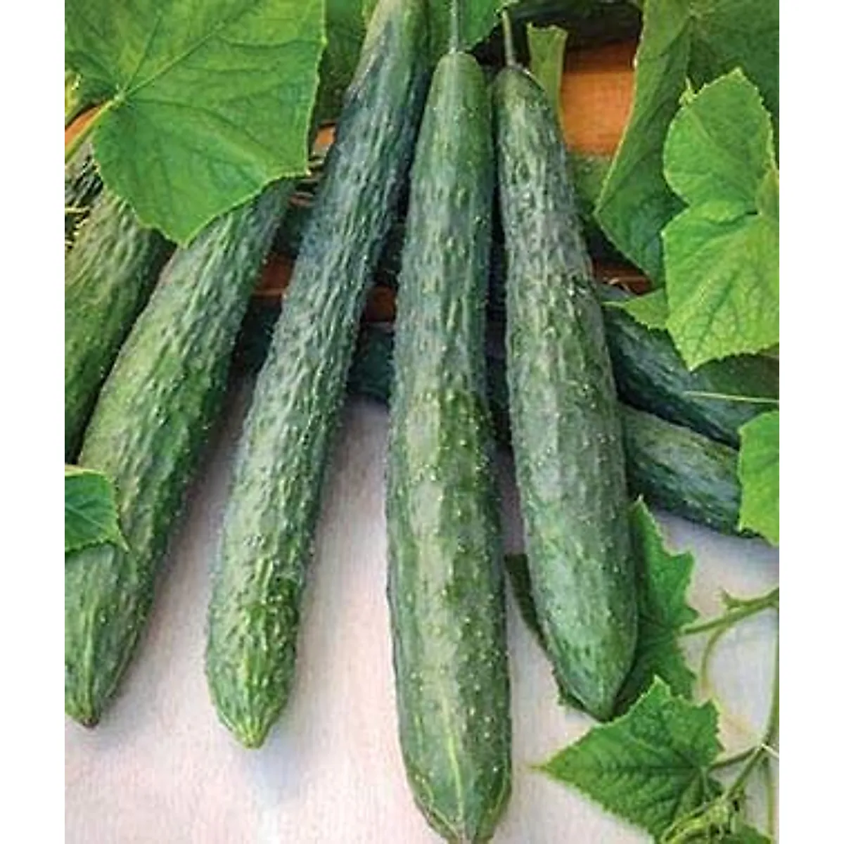 "Green Dragon" Cucumber Seeds for Planting, 50+ Heirloom Seeds Per Packet, (Isla's Garden Seeds), Non GMO Seeds, Botanical Name: Cucumis sativus, 90% Germination Rate