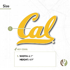 Desert Cactus Berkeley University Sticker of California Golden Bears Vinyl Decal Laptop Water Bottle Car Scrapbook (IND 00002a)