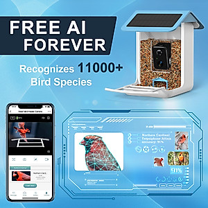BROAIMX Smart Bird Feeder Camera, Free AI Forever, 1080P HD Camera Auto Capture Bird Videos & Solar Panel, App Notify When Birds Detected, Bird House with Built-in Two-Way Microphone