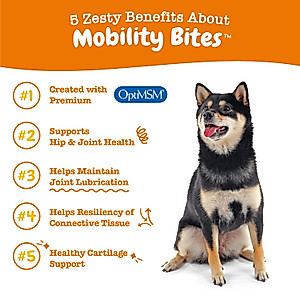 Zesty Paws Glucosamine for Dogs - Hip & Joint Health Soft Chews with Chondroitin & MSM + Probiotics for Dogs - Probiotics for Gut Flora, Digestive Health