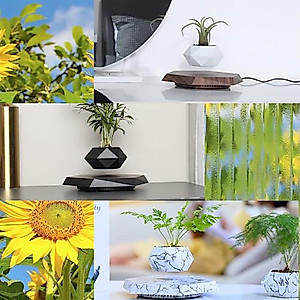 MOOCCI Floating Plant Pot Magnetic Levitating Plant Pot for Succulents, Air Bonsai and Fake Flowers and Plants, Unique Decor for Home, Office and Desk (Brown)