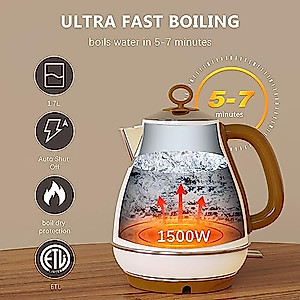Evoloop 1.7L Electric Kettles, BPA Free Tea Kettle, Hot Water Boiler Heater, Stainless Steel Teapot, Auto Shut-Off & Boil-Dry Protection, 120V/1500W