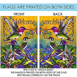 Toland Home Garden 119459 Hummingbird Home Hummingbird Flag 12x18 Inch Double Sided Hummingbird Garden Flag for Outdoor House Bird Flag Yard Decoration