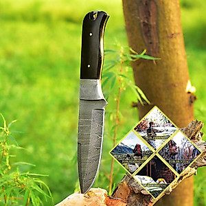 SharpWorld Buffalo Horn Damascus Knife Made Of Remarkable Damascus Steel -Best Hunting Knife with Sheath TJ105