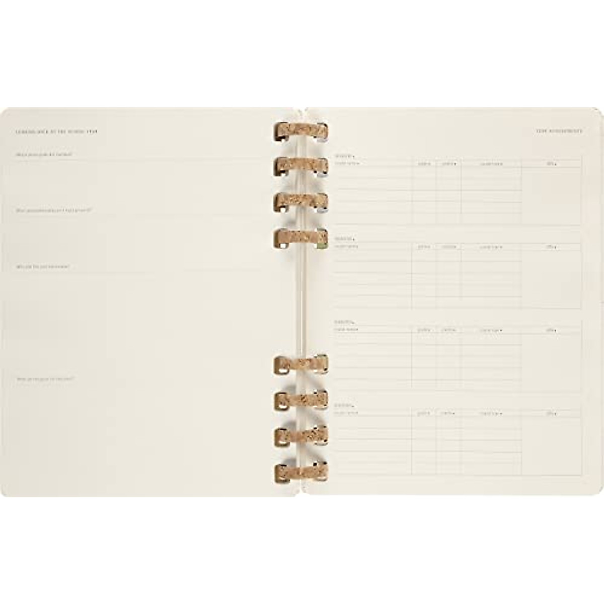 Moleskine Spiral 12 Month 2023 Academic Year Planner, Hard Cover, XL (7.5" x 9.75"), Oyster