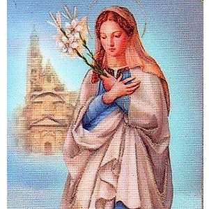 VPP Silver Tone St Genevieve Medal Pendant Necklace Ladies 20 inch Chain