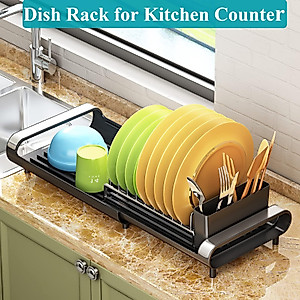 Dish Drying Rack, Expandable Dish Racks for Kitchen Counter, Small Kitchen Drying Rack with Removable Cutlery Holder, Black