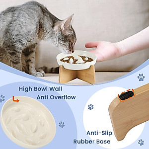 JuWow Elevated Ceramic Cat Slow Feeder Bowl, Anti Gulping Healthy Eating Diet Pet Food Bowl, Non-Slip Whale Shape Design and Raised Rim Spill Proof Slow Bowl for Kitten(Ceramic&White)