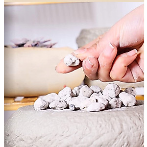 Horticultural Pumice for Plants by Doter 1 QT, Soil Amendment for Bonsai and Cactus Plants