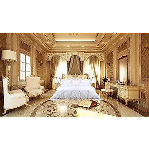 Duvet Cover Set Queen 600 TC Luxury Soft Brushed 3pcs with Elegant 3-Line Embroidery 1Duvet Cover & 2Pillow Sham with Zipper Closure, for All Seasons Taupe Solid by Americancomfy