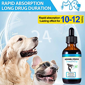 Kennel Cough Treatment for Dogs, Kennel Cough Herbal Drops, Dog Cough Relief - Dog Seasonal Allergy Relief, Dog Itch Relief, Support Dog Cough Care About Dry, Pet Cough Relief - 2.02 Fl.oz / 60 ml