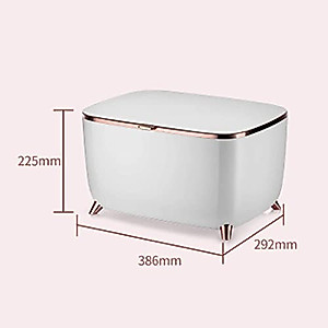 REKIRO Mini Fridge Portable Thermoelectric 9 Liter Cooler and Warmer for Skincare, Eco Friendly Beauty Fridge for Foods,Medications, Cosmetics, Breast Milk, Medications Home and Travel
