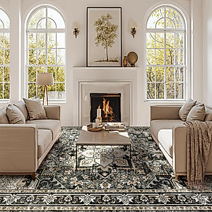 Shilucheng 9x12 Rugs for Living Room,Soft Low-Pile Machine Washable Rug Clearance for Bedroom Dining Room,Non Slip Floor Carpet Kid & Pet Friendly (Black)