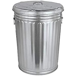 Plexon Brush Pre-Galvanized Trash Can with Lid, Round, Steel, 20Gal, Gray