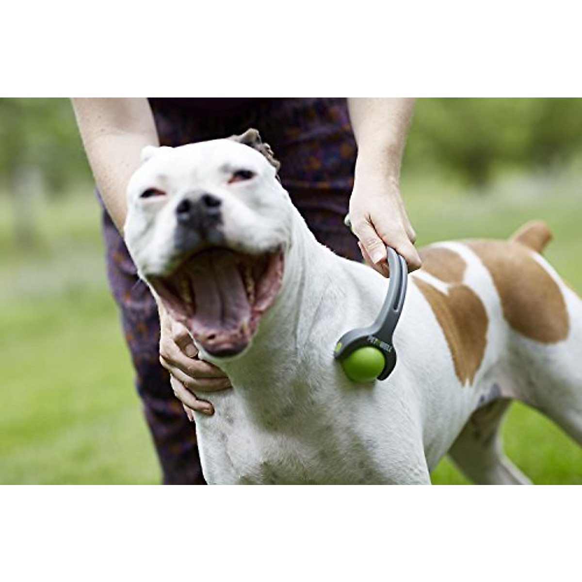 PetWell Dual Point Handheld Massage Roller Pets (Dogs, Cats)