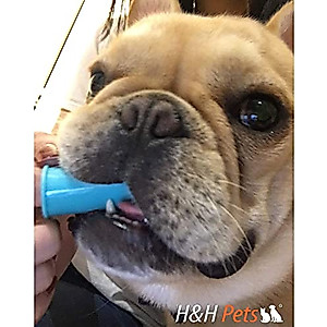 Professional Dog Finger Toothbrush by H&H Pets,Pack of 4