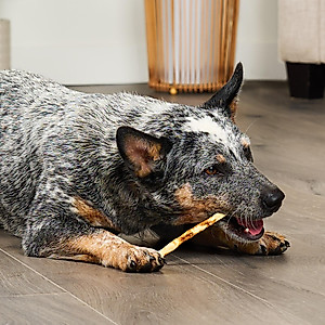 Treatly Combo Chews Beefhide Twist Sticks 5" w/Pork Meat Wrap Dog Chew Treats - 20 Count/1 Pack