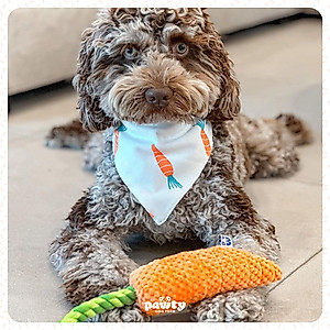 Pawty Dog Toys - Carrot Tug Rope Dog Toy - Squeaky Gift for Puppy Birthday - Cute Toys for Small to Medium Dogs - Durable Toy for Aggressive Chewer - Dog/Puppy Chew Food Shaped Toy - Tug Rope Dog Toy