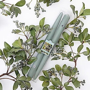 Colonial Candle Bayberry Scented Taper Candle, Hand-Dipped, Drip-Less & Smokeless, Premium Wax with Cotton Wick, 10 in, 2 pk