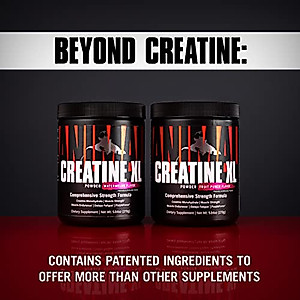 Animal Creatine XL Powder - Enhanced Pre Workout Creatine Monohydrate Supplement - Support Brain Health, Delay Fatigue, Enhance Endurance, Improve Recovery, Men and Women - Fruit Punch