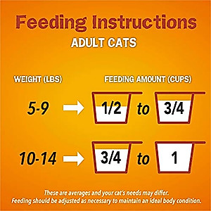 Purina Friskies Dry Cat Food, Tender & Crunchy Combo - 16 lb. Bag