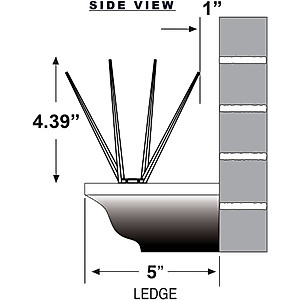 Bird B Gone Enviro-Spike Bird Spike, True 10-Feet, MADE IN THE USA